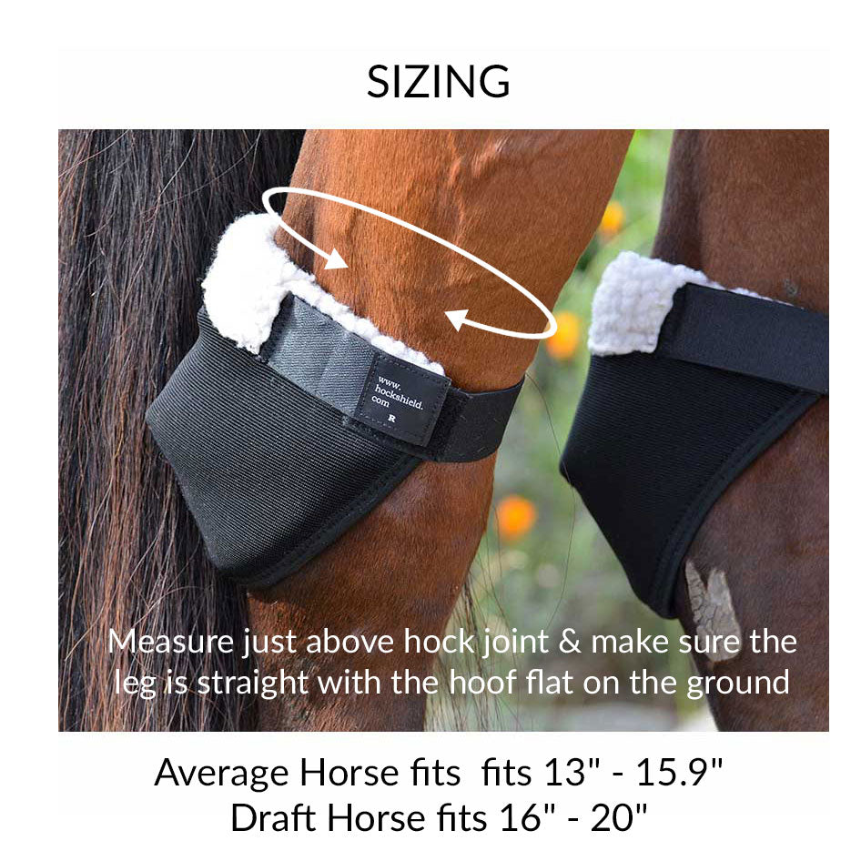 Click Horse Products Hock Shield | – Paddock Saddlery