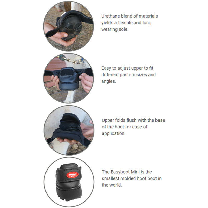 EasyCare Easyboot Mini | – Paddock Saddlery