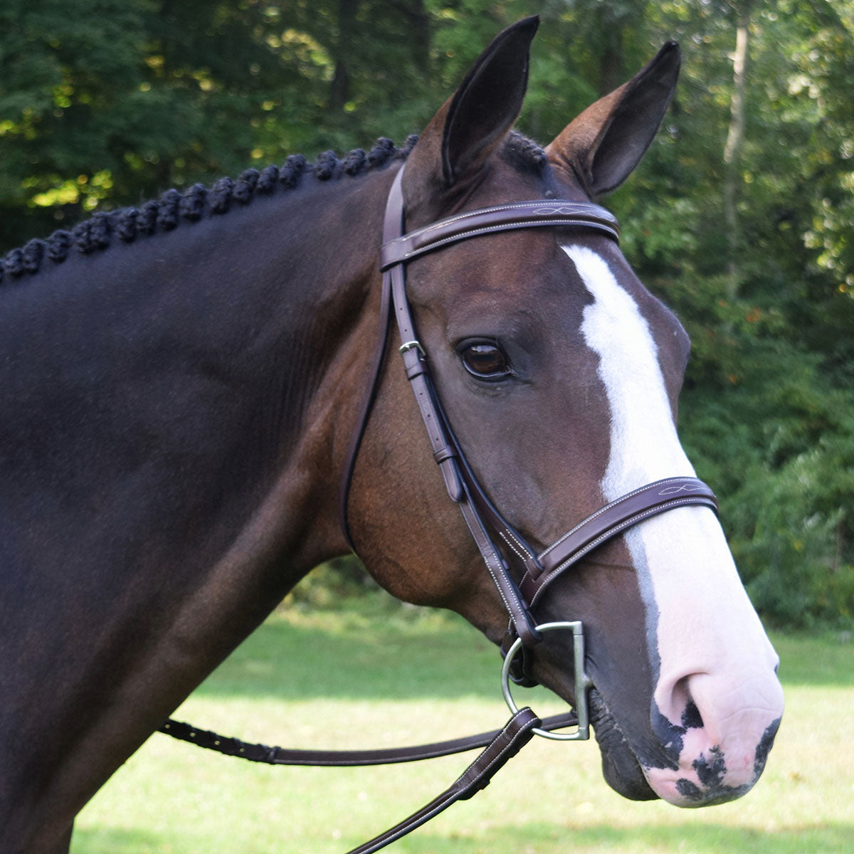 Black Oak Spruce Fancy Stitch Hunter Bridle – Paddock Saddlery