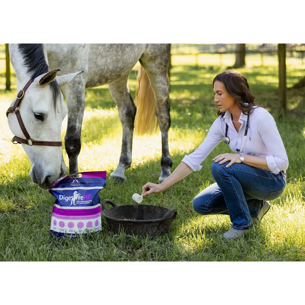 Poseidon Animal Health Digestive HP 10 lbs – Paddock Saddlery