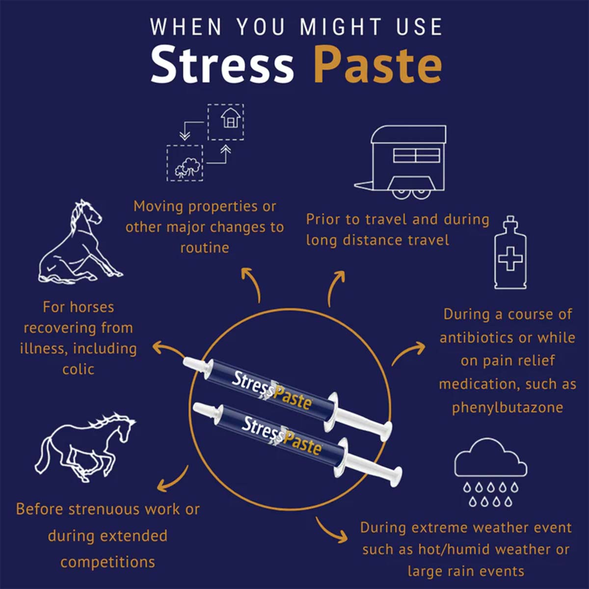 Poseidon Animal Health Stress Paste 60 ml – Paddock Saddlery