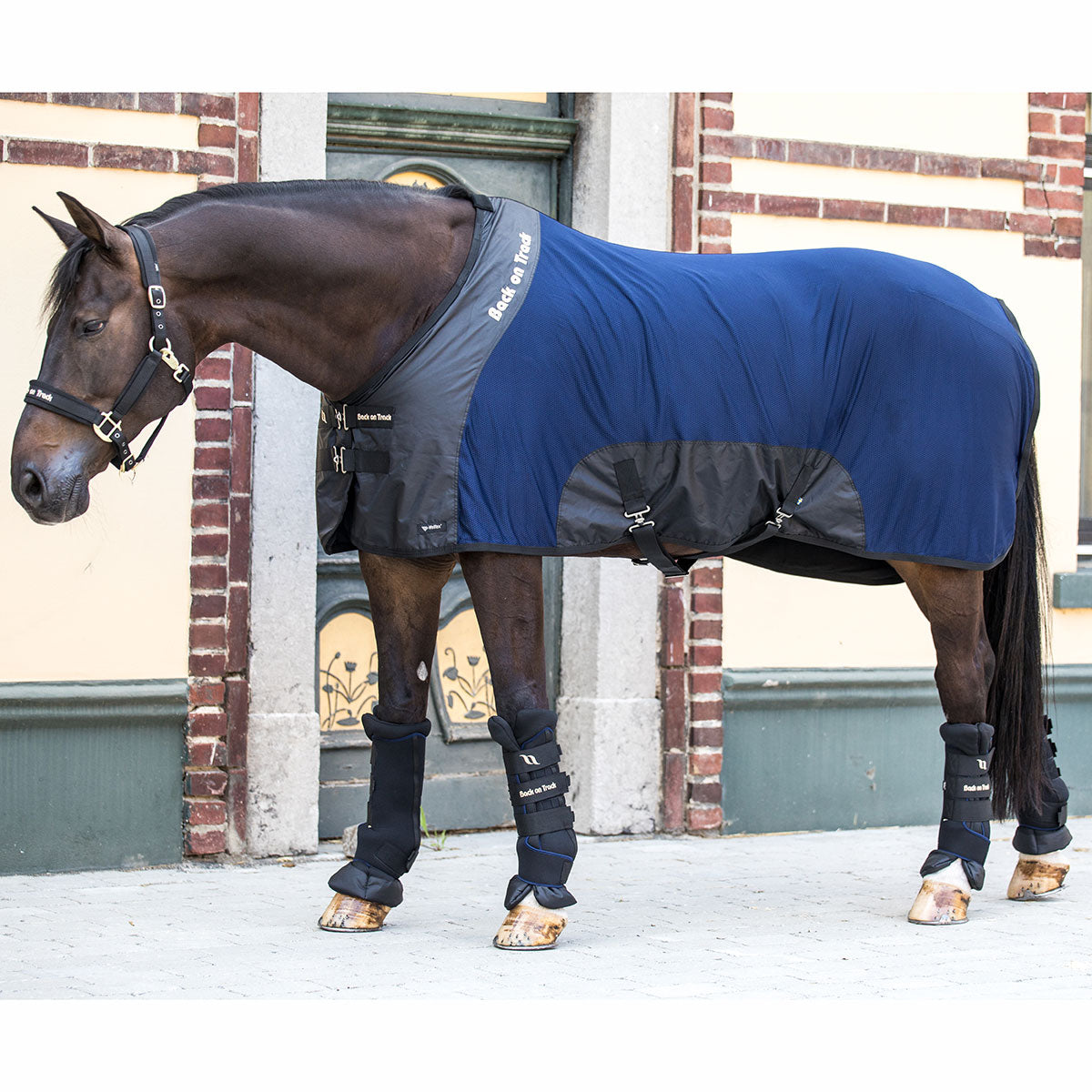 Back On Track Ceramic Royal Mesh Sheet Deluxe - Navy Blue – Paddock ...