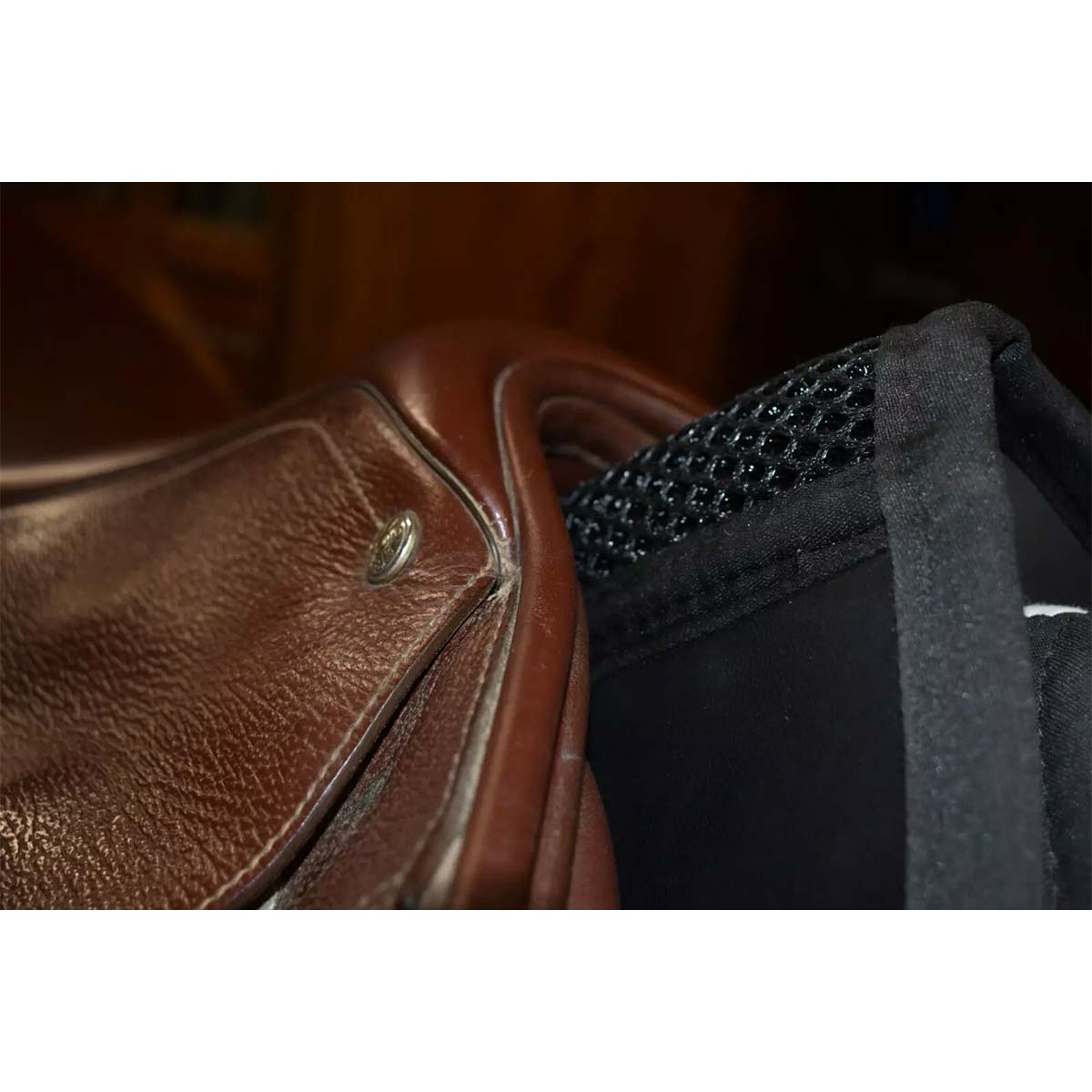 Thinline Perfect Fit Protection Half Pad – Paddock Saddlery