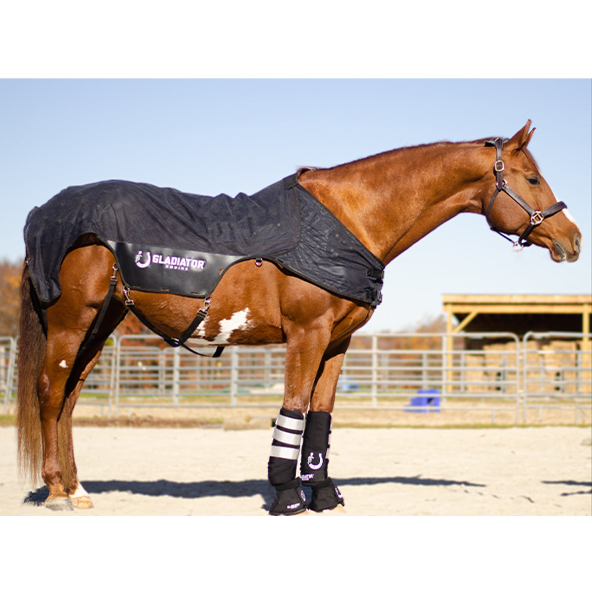 Gladiator Equine PTR SemiCera Blanket | Circulation Support – Paddock Saddlery
