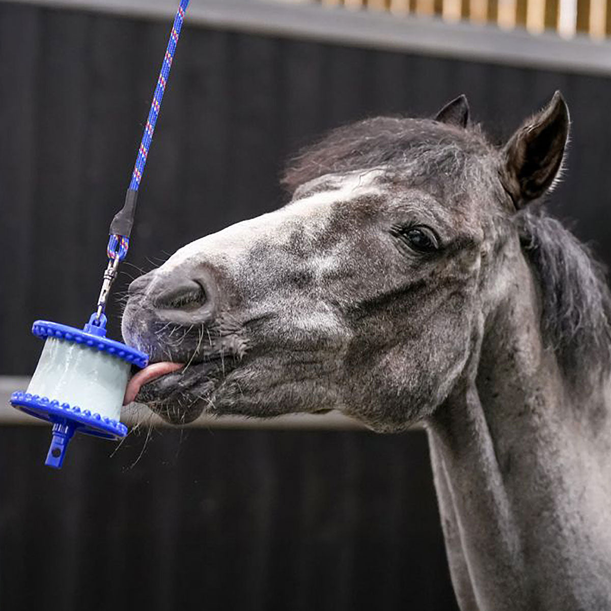 Likit Treat Holder – Paddock Saddlery