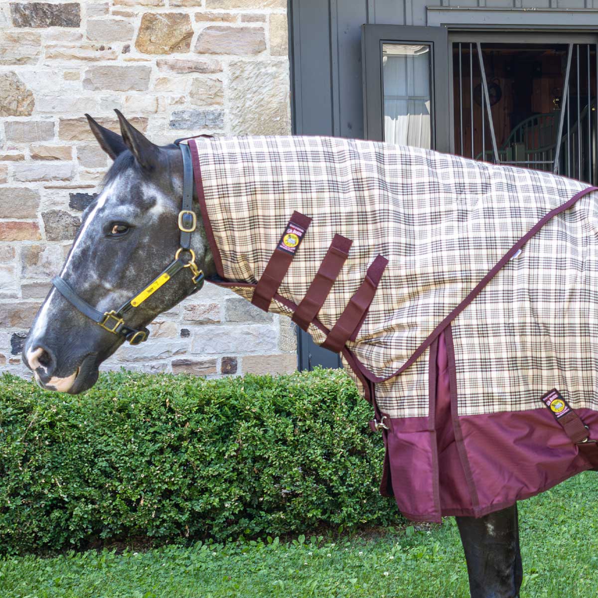 5/A Baker Black Label Neck Cover 200gm - Burgundy – Paddock Saddlery