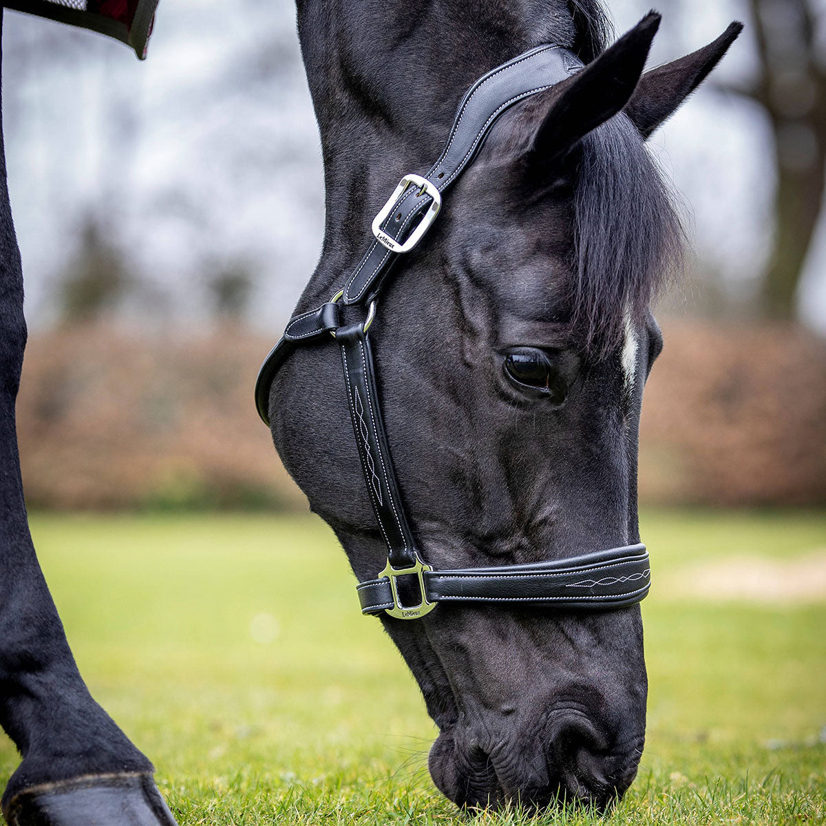 LeMieux Stitched Anatomical Leather Halter – Paddock Saddlery