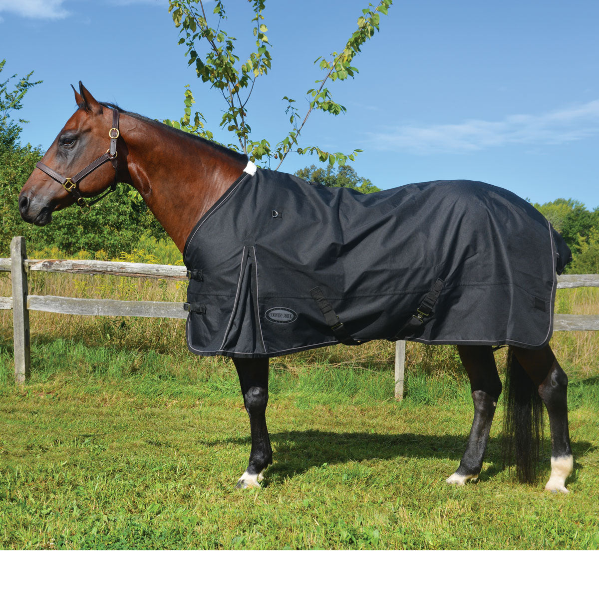 Glacier 600D Turnout Rainsheet | – Paddock Saddlery