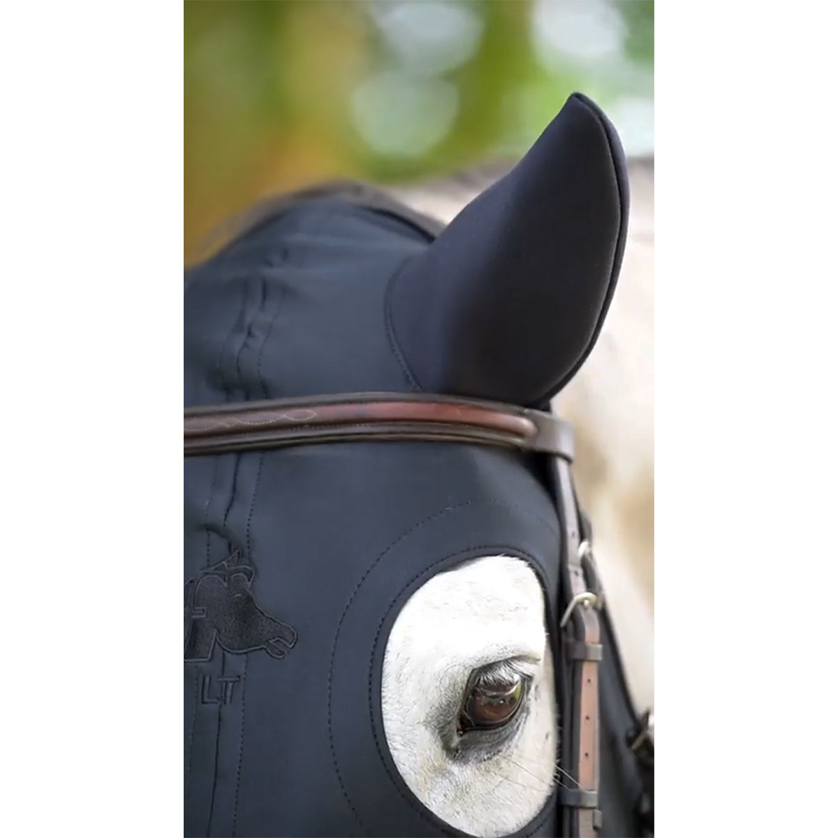 Fenwick Liquid Titanium Horse Mask with Sound Reduction Ears – Paddock ...