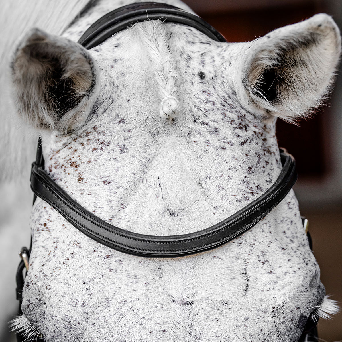 Horseware Micklem Competition Bridle – Anatomical Leather – Paddock ...