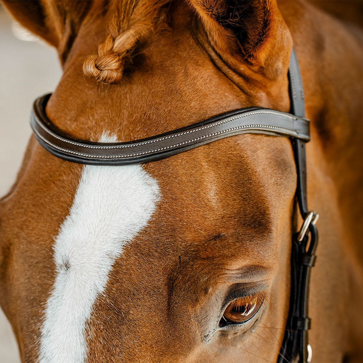 Horseware Micklem Competition Bridle – Anatomical Leather – Paddock ...