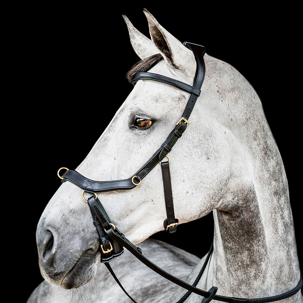 Horseware Micklem 2 Multi Bridle – Paddock Saddlery