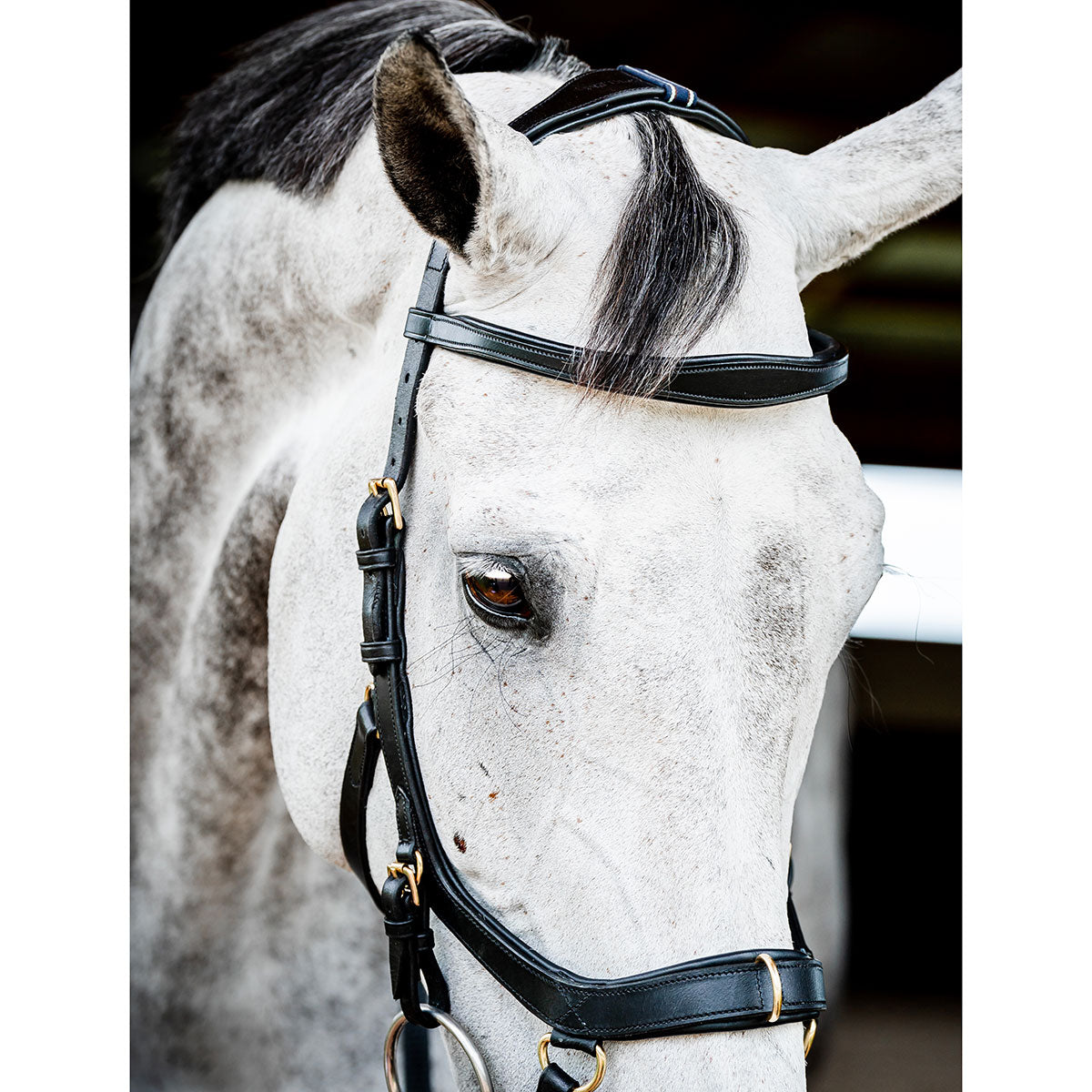 Horseware Micklem 2 Multi Bridle – Paddock Saddlery