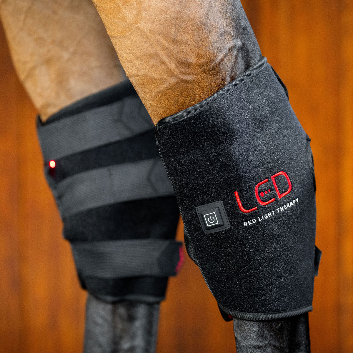 Horseware LED Red Light Therapy Hock Boot – Paddock Saddlery