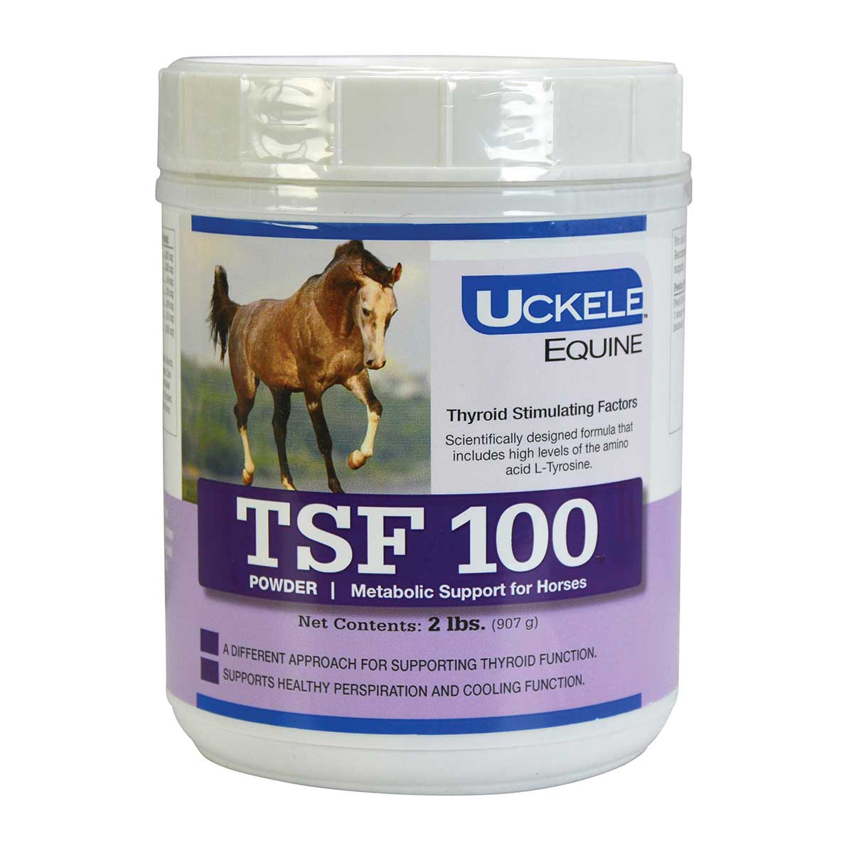 TSF-100 Thyroid Supplement – Paddock Saddlery