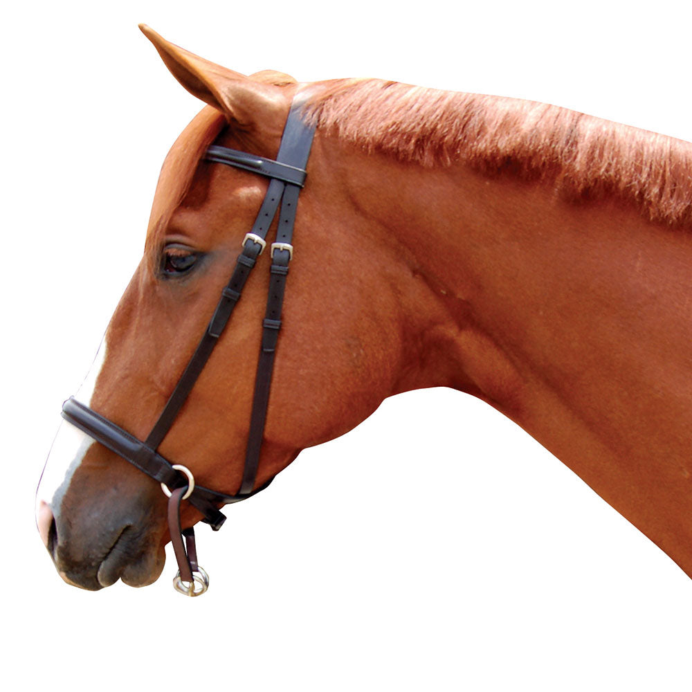 Dr Cook Leather Bitless Bridle Dark Brown | Hackamore – Paddock Saddlery