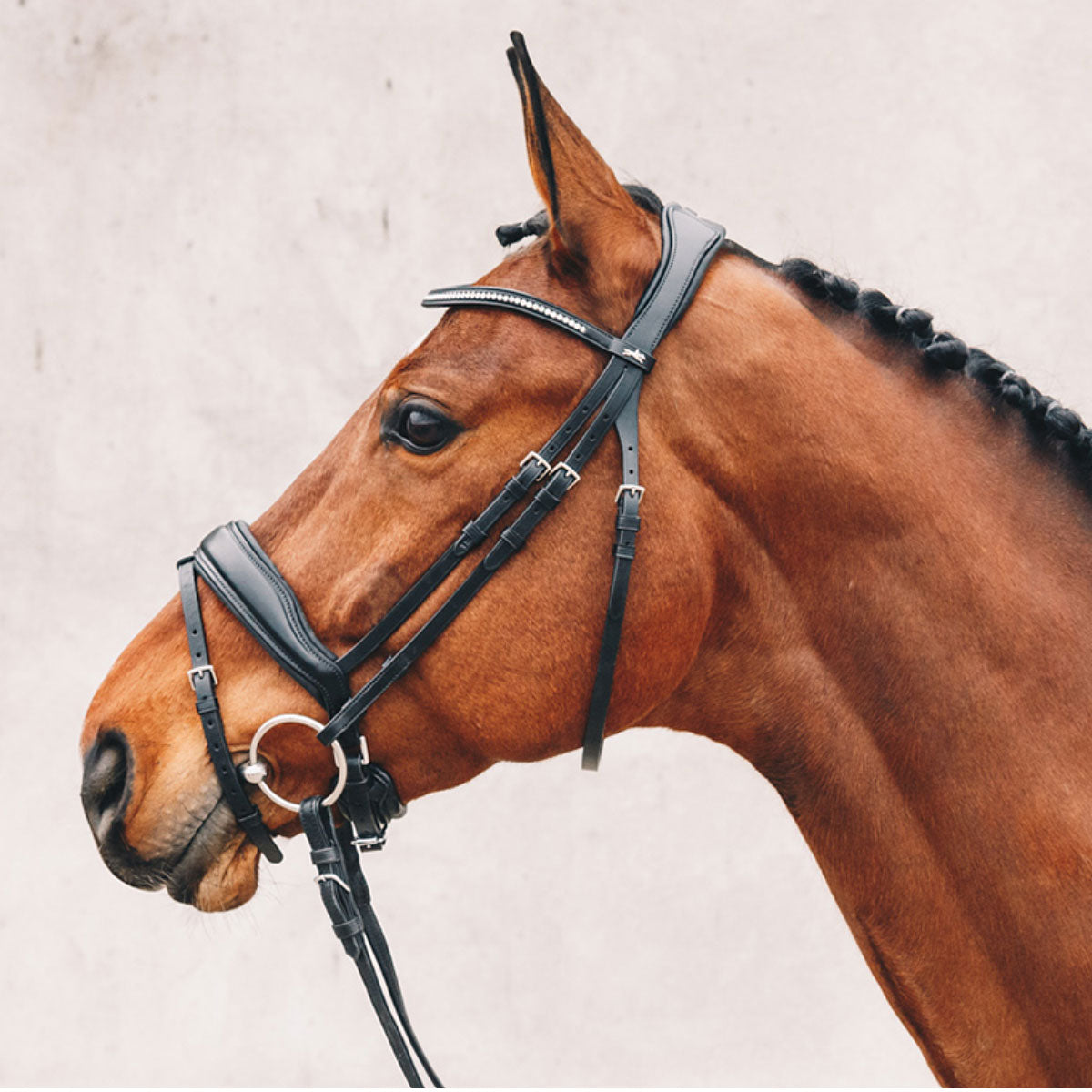 Schockemohle Stanford Anatomic Bridle – Paddock Saddlery