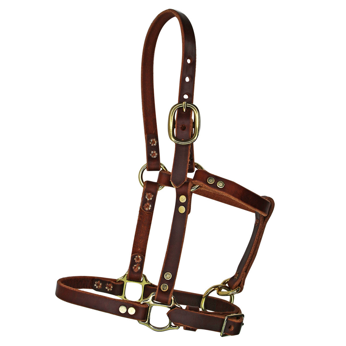 Premium Safety Riveted Leather Foal Halter | – Paddock Saddlery