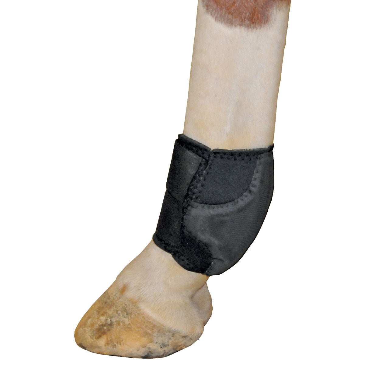 Walsh Neoprene Rundown Boot | Ankle Boots | – Paddock Saddlery