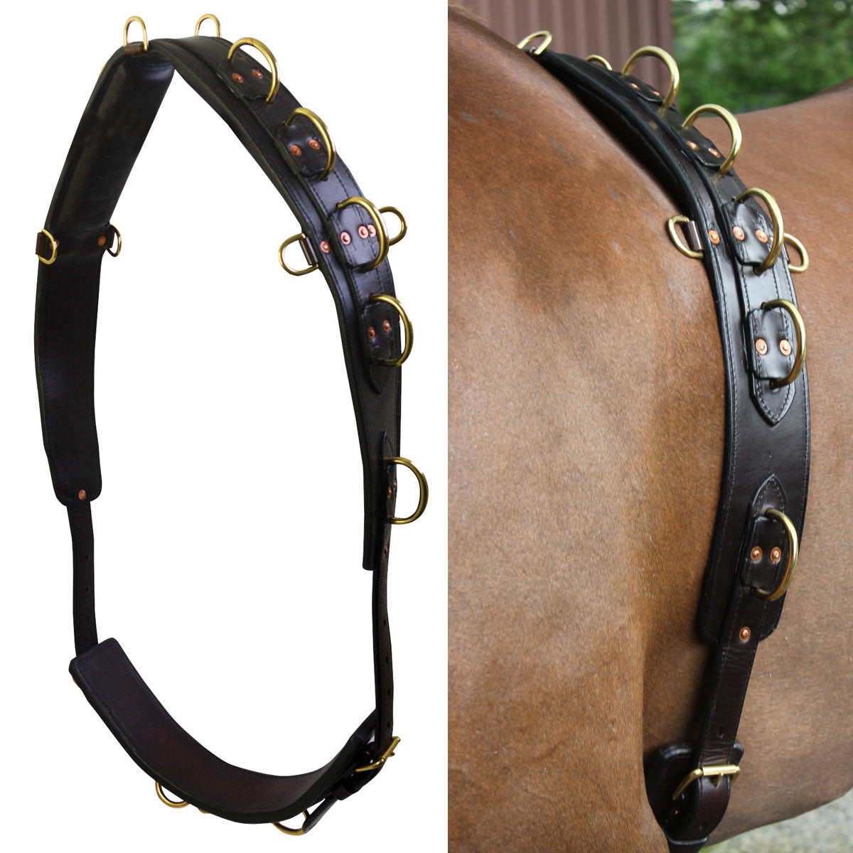 Multi-ring Leather Training Surcingle | Quiet Creek Arabian – Paddock ...