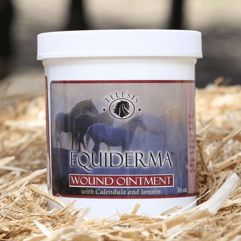 Equiderma Wound Ointment Calendula and Lanolin | – Paddock Saddlery