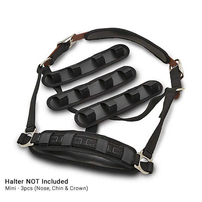 Flexible Filly Halter Liners | Horse Halter Liners | – Paddock Saddlery