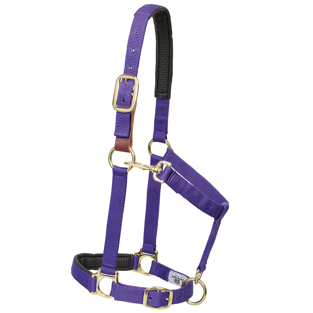 Weaver Breakaway Padded Nylon Halter – Paddock Saddlery