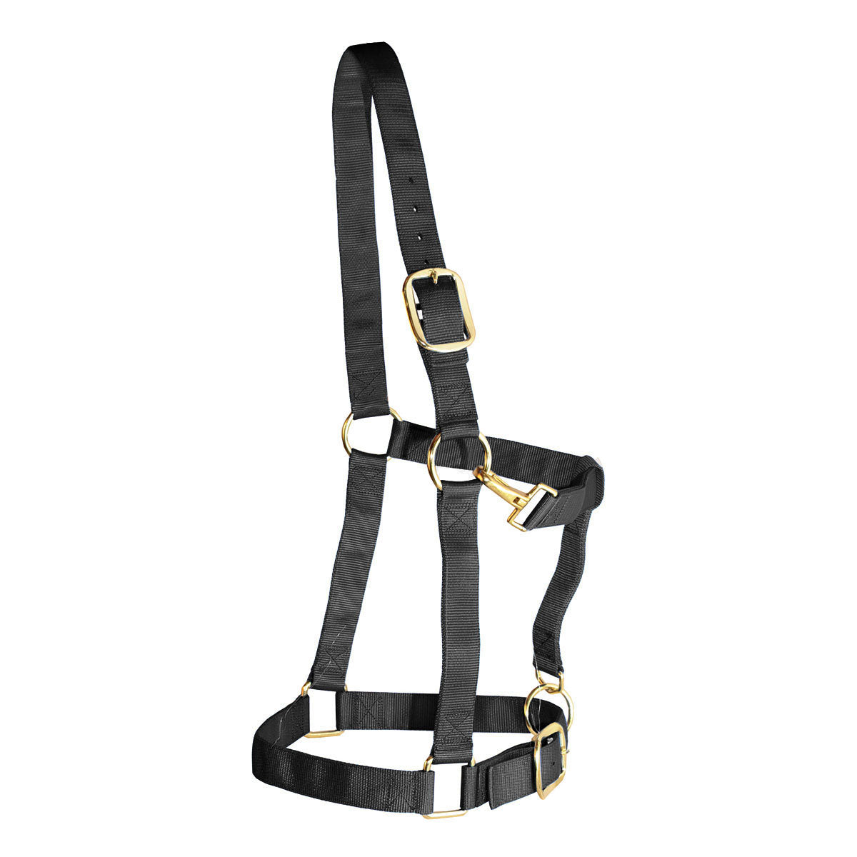 Weaver Draft Horse Sized Nylon Halter – Paddock Saddlery
