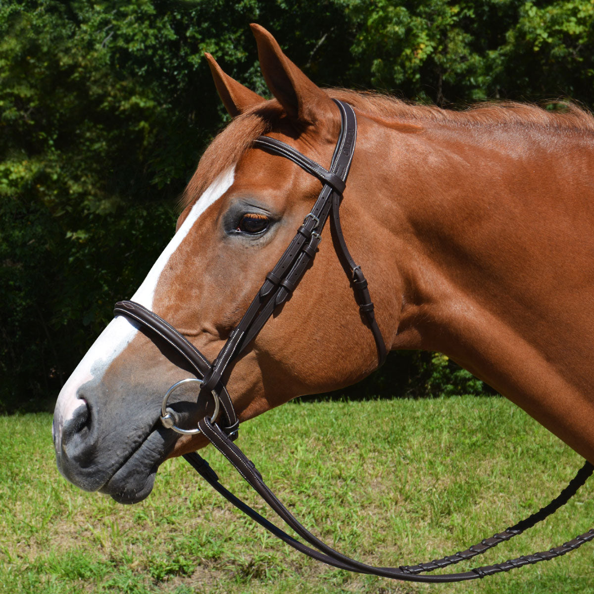 Ovation Fancy Stitched Comfort Crown English Bridle | – Paddock Saddlery