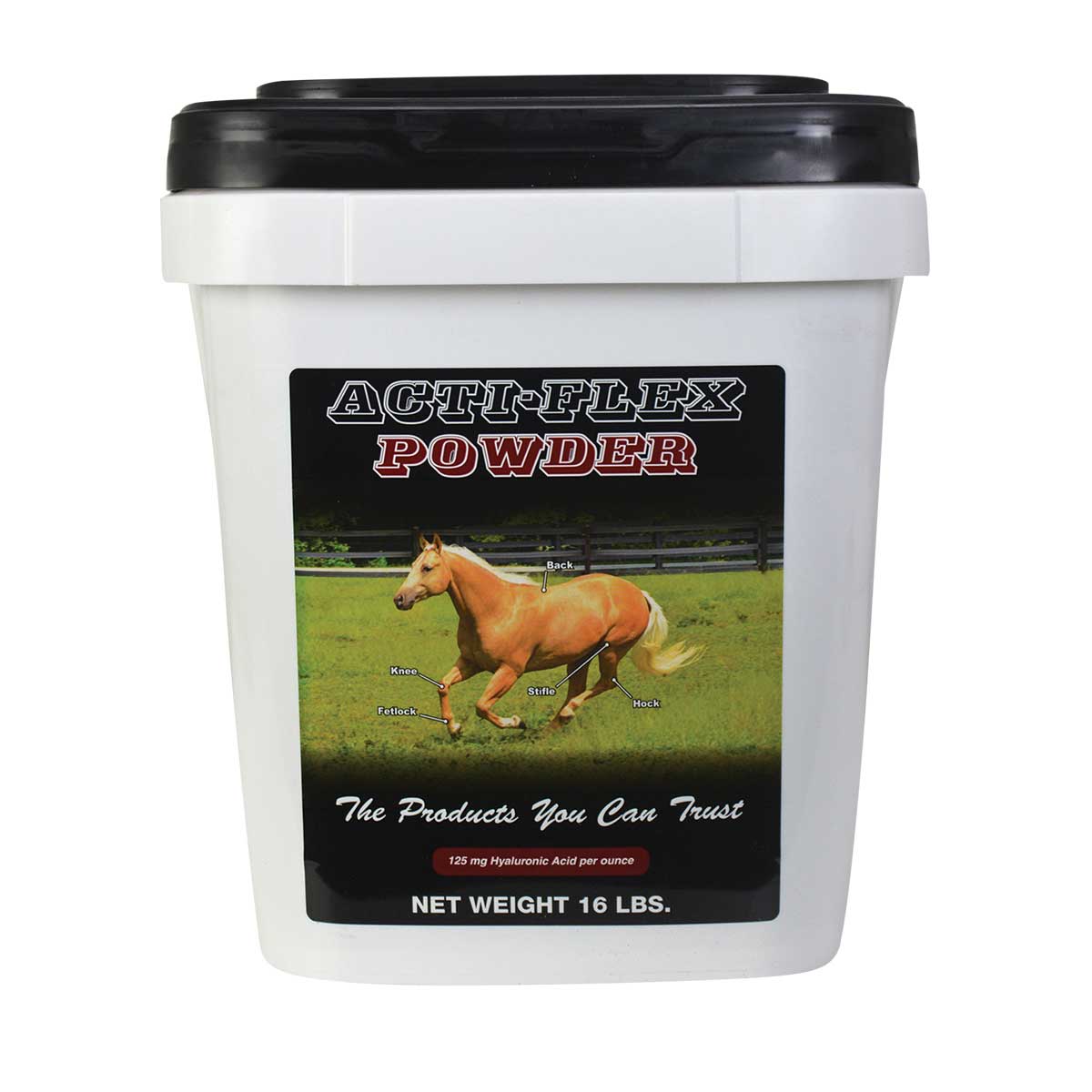 Acti Flex Powder 16 lb | Joint Supplement | – Paddock Saddlery