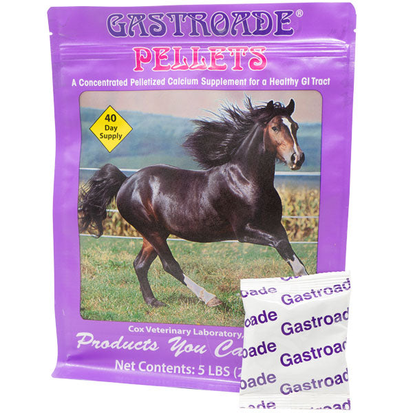 Gastroade EZE Go Pack | Ulcers | – Paddock Saddlery