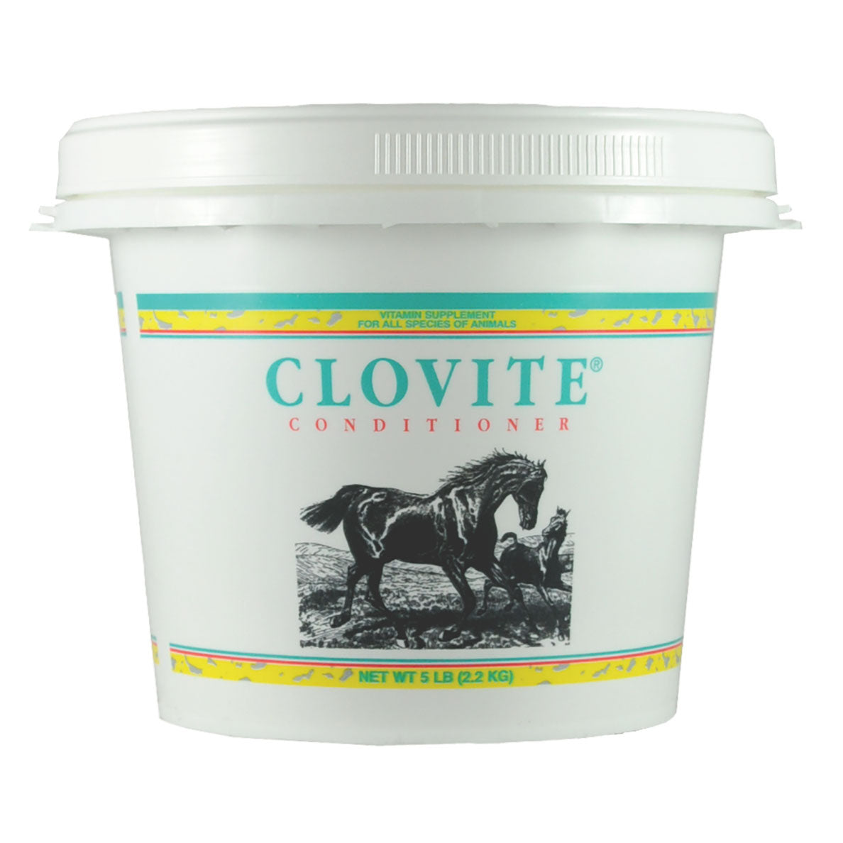Clovite Conditioner | Zoetis | – Paddock Saddlery