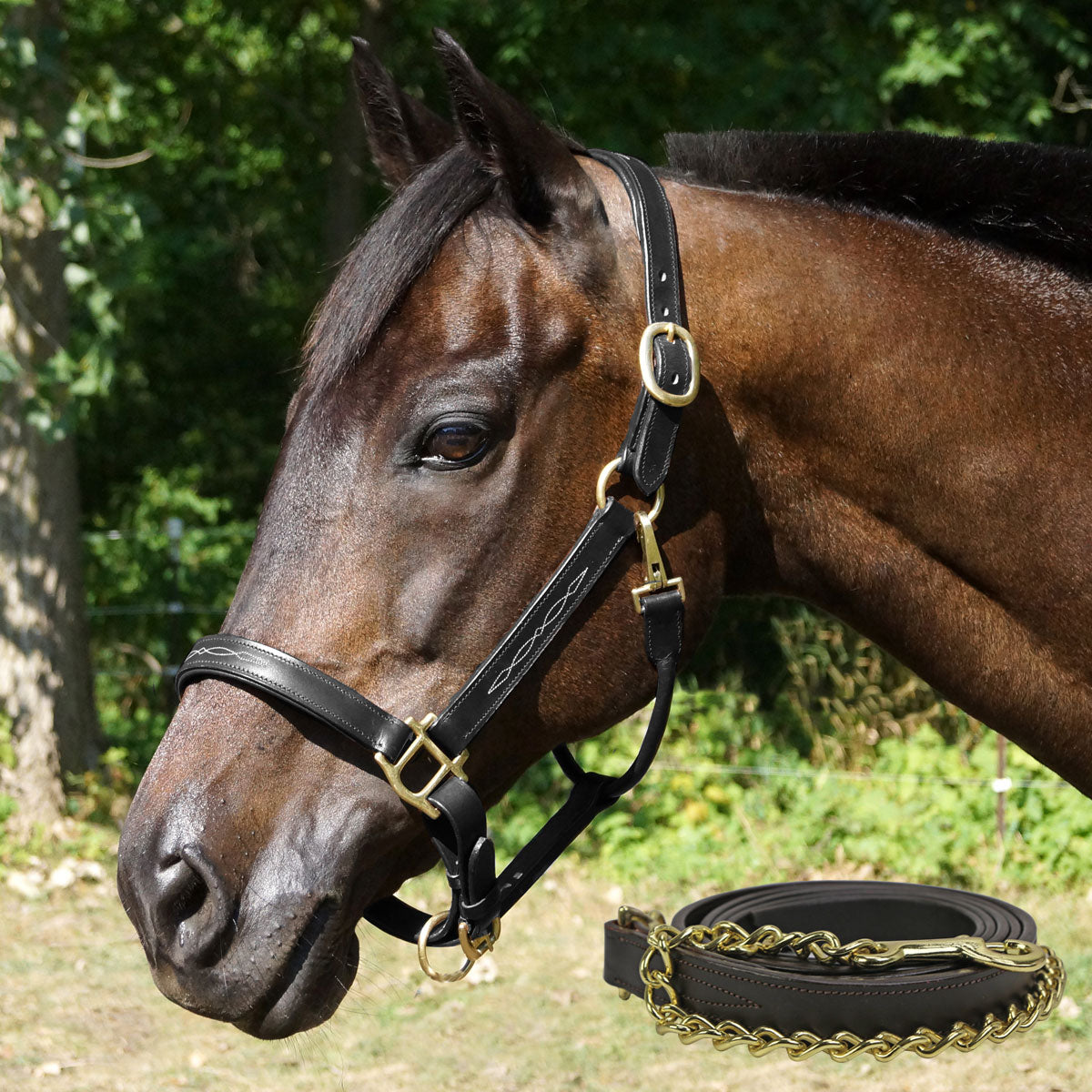 Fancy Stitched Padded Leather Halter with Matching Lead | – Paddock ...