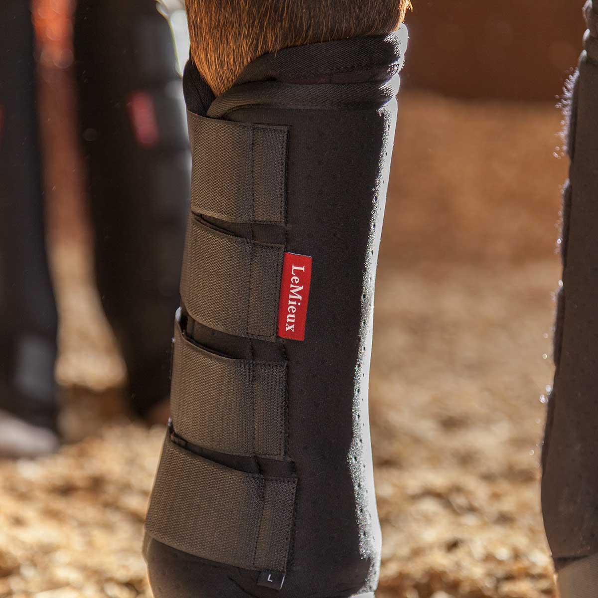 LeMieux Stable Boots for Horses | Shipping Boots | – Paddock Saddlery