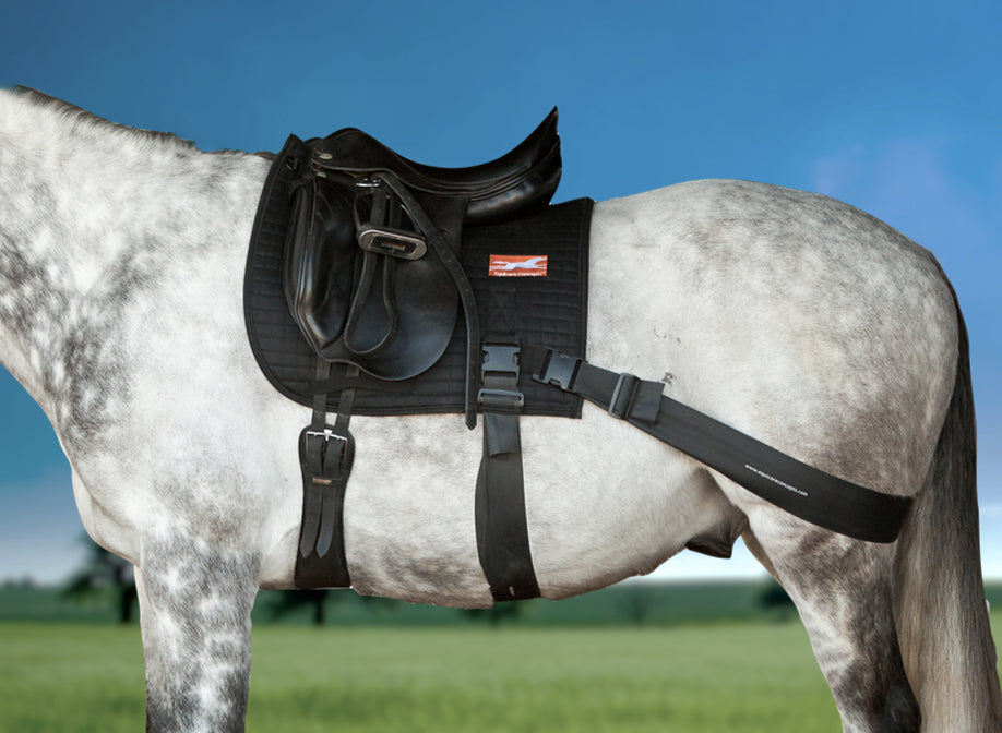 Equicore Complete Equiband System | – Paddock Saddlery