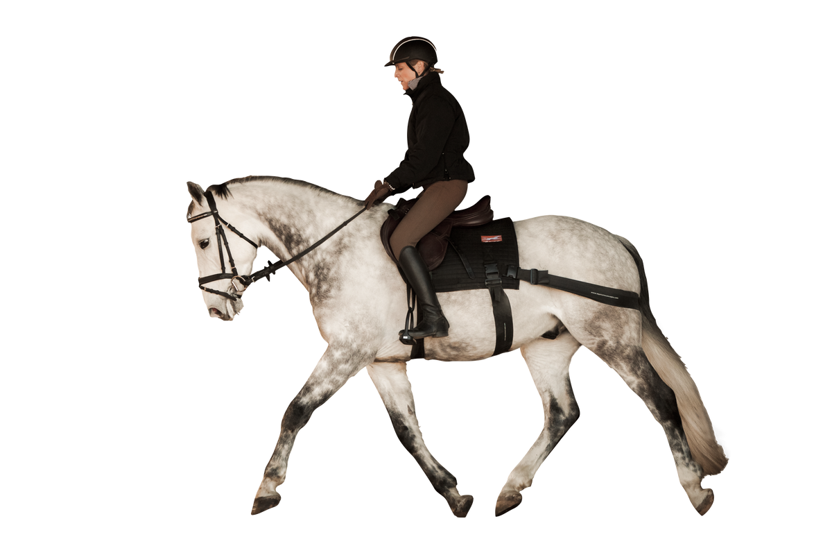 Equicore Complete Equiband System | – Paddock Saddlery