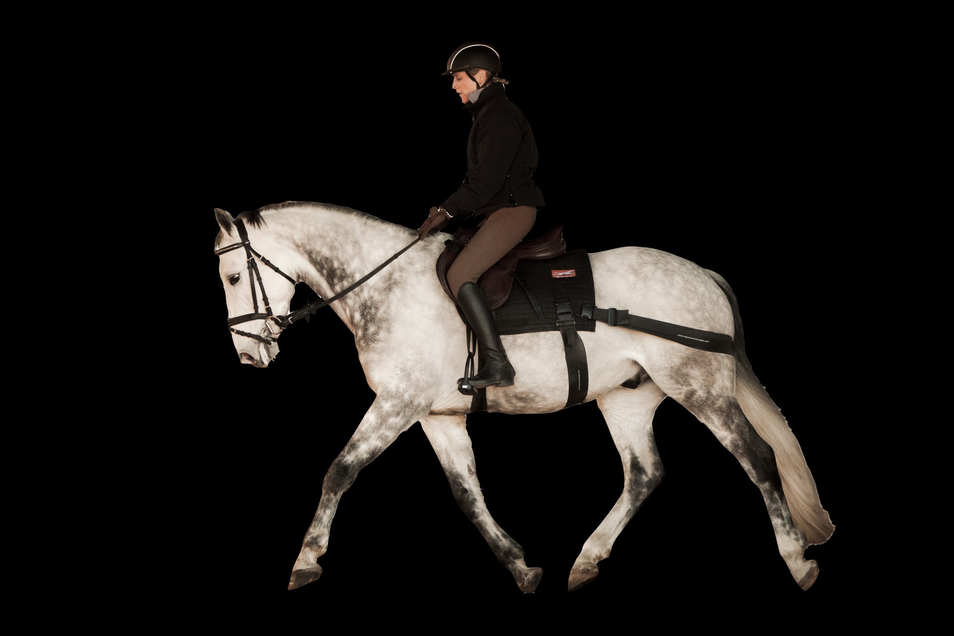 Equicore Complete Equiband System | – Paddock Saddlery