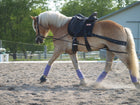 Equicore Complete Equiband System | – Paddock Saddlery