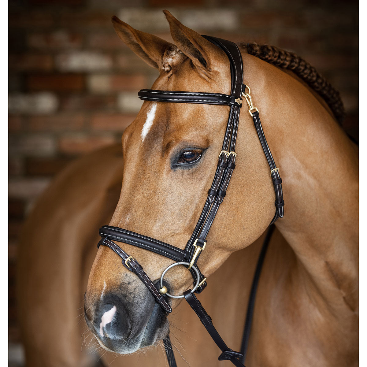 LeMieux Padded Anatomic Work Bridle | – Paddock Saddlery