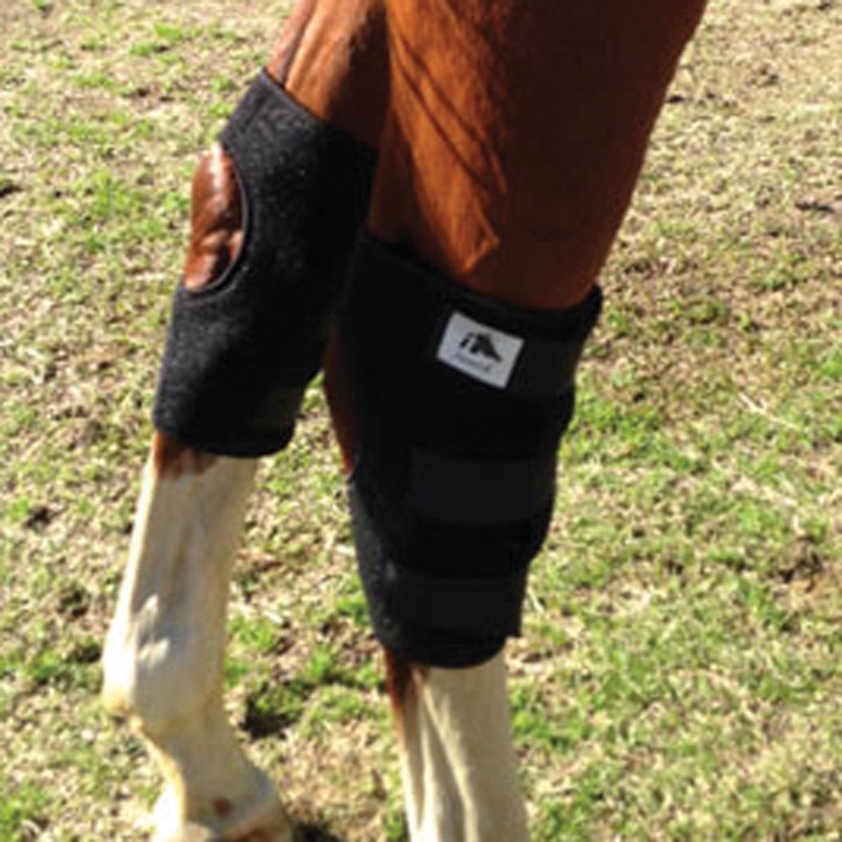 Fenwick Equestrian Liquid Titanium Hock Boot | – Paddock Saddlery