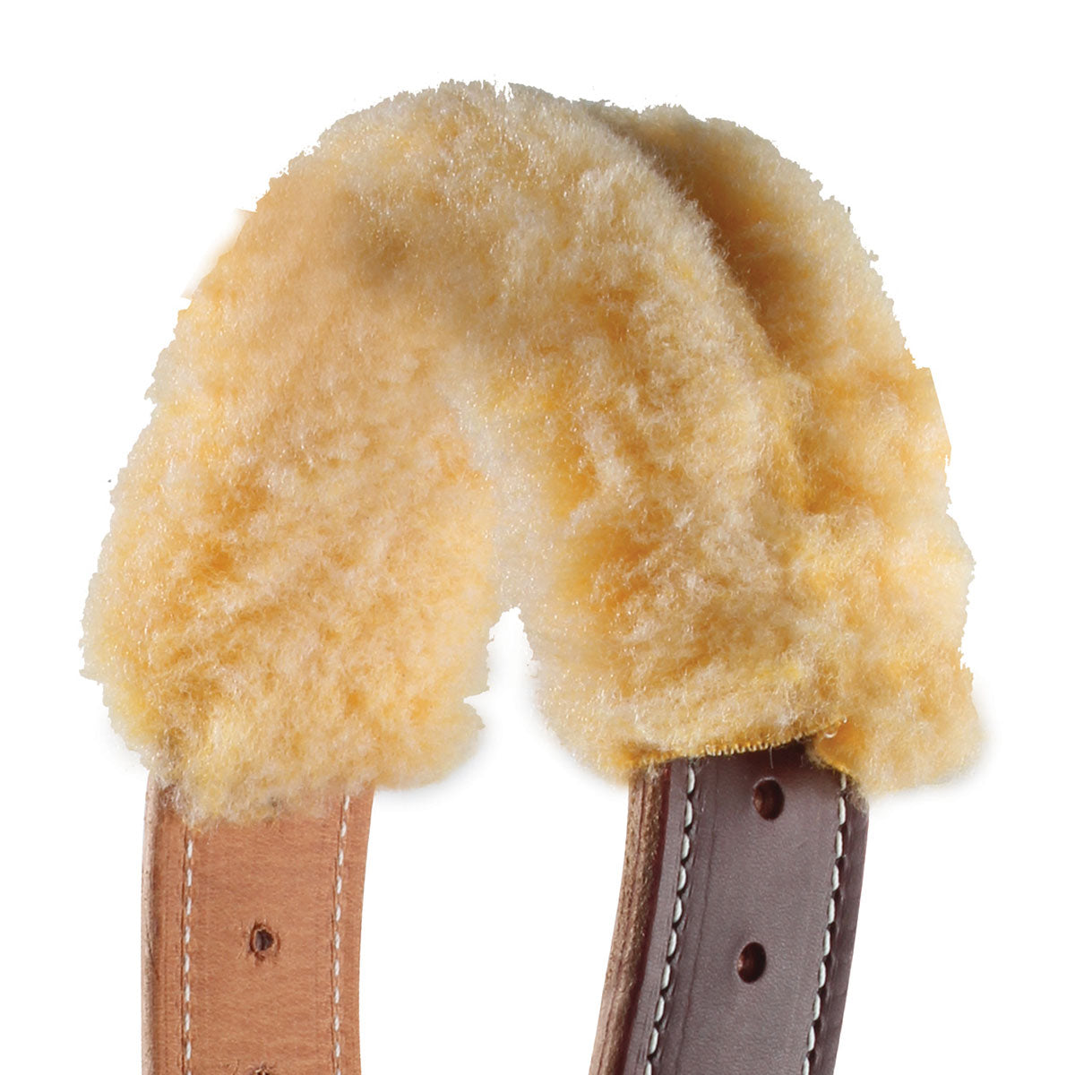 Dare Horse Cribbing Collar Fleece Cover | Cribbing Control – Paddock ...