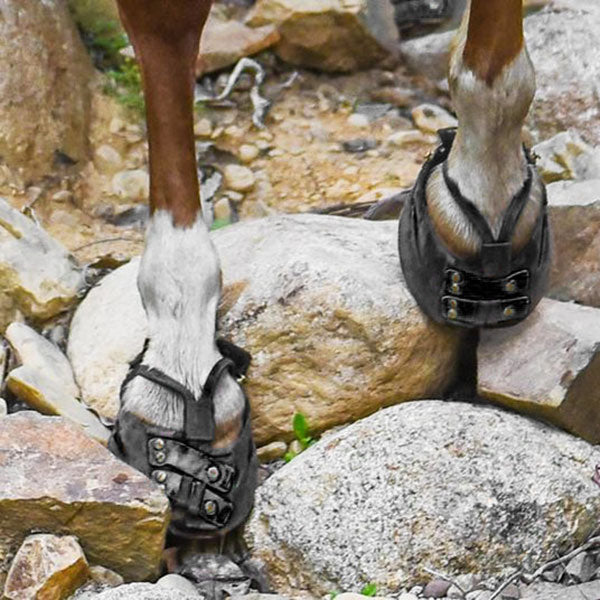 Scoot Boot Mud Strap - Pair | – Paddock Saddlery